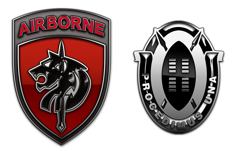 Military Insignia 3D : 2010